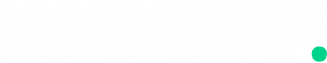 Secon Cyber - Always on, always protected